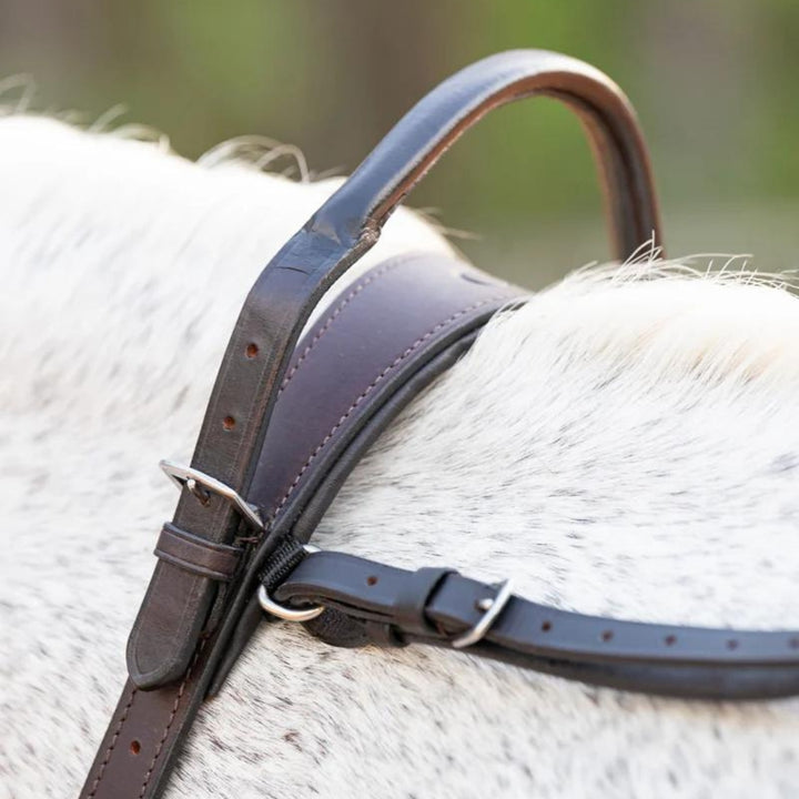 Horse Fashion Australia