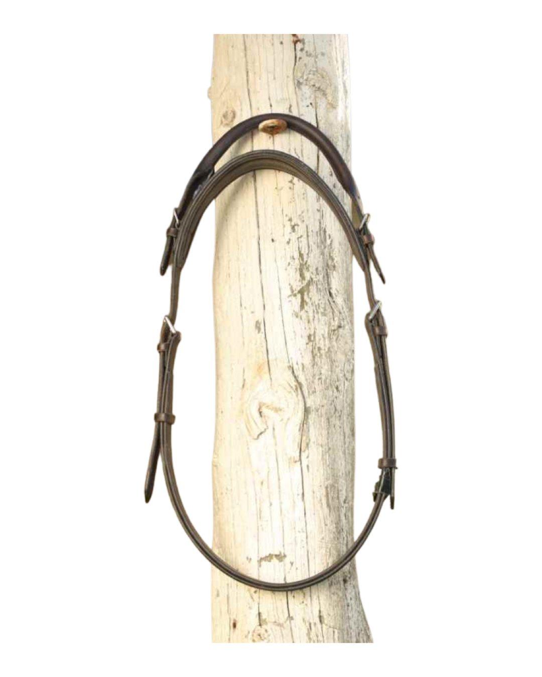 Correct Connect Double Neck Strap – Horse Fashion Australia